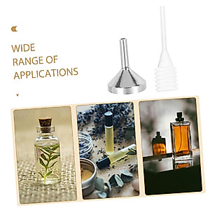 Baluue 12pcs 2.5 Inch x 0.6 Inch Small Metal Funnels with 2 Pack Mini Pipette for Filling Bottle and Containers, Oil and Liquid Filling and Tranfer Funners Tool Kit