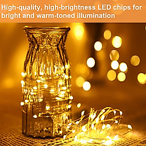 LEDIKON 18 Pack Fairy Lights Battery Operated String Lights-3.3ft 20 LED Silver Wire Warm White Firefly Mini Lights for Wedding,Party,DIY Crafts,Mason Jars,Centerpiece Table Decorations