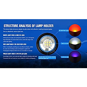 TrustFire DF50 Scuba Diving Light, 6500 Lumens Video Camera Photography Dive LED Flashlight, USB Rechargeable Torch, 70M Underwater, Super Bright, with Violet Red White Lights