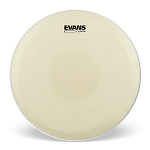 Evans Tri-Center Conga Head, Fits LP 12-1/2 Inch Conga