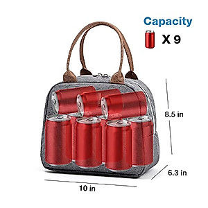 Lekesky Lunch Bag for Women Lunch Box Insulated Cute Lunch Tote Bag Leakproof Lunchbox for Adult Work, Grey