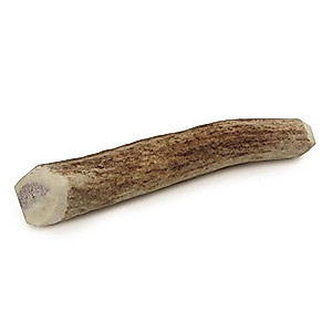 Ranch Rewards ELK Antler Dog Dental Chews Natural Way to Clean Your Dog's Teeth Bulk Too!(Small - 4" to 5" 3 Antlers)