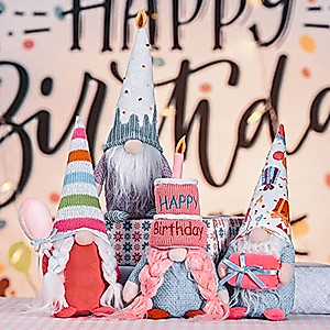 unanscre Birthday Gnomes Plush Elf Decoration - 4PCS Happy Birthday Handmade Swedish Tomte Dolls, Cute Scandinavian Gnomes for Home Farmhouse Table Ornament, Party Favor Gifts, Tiered Tray Decor