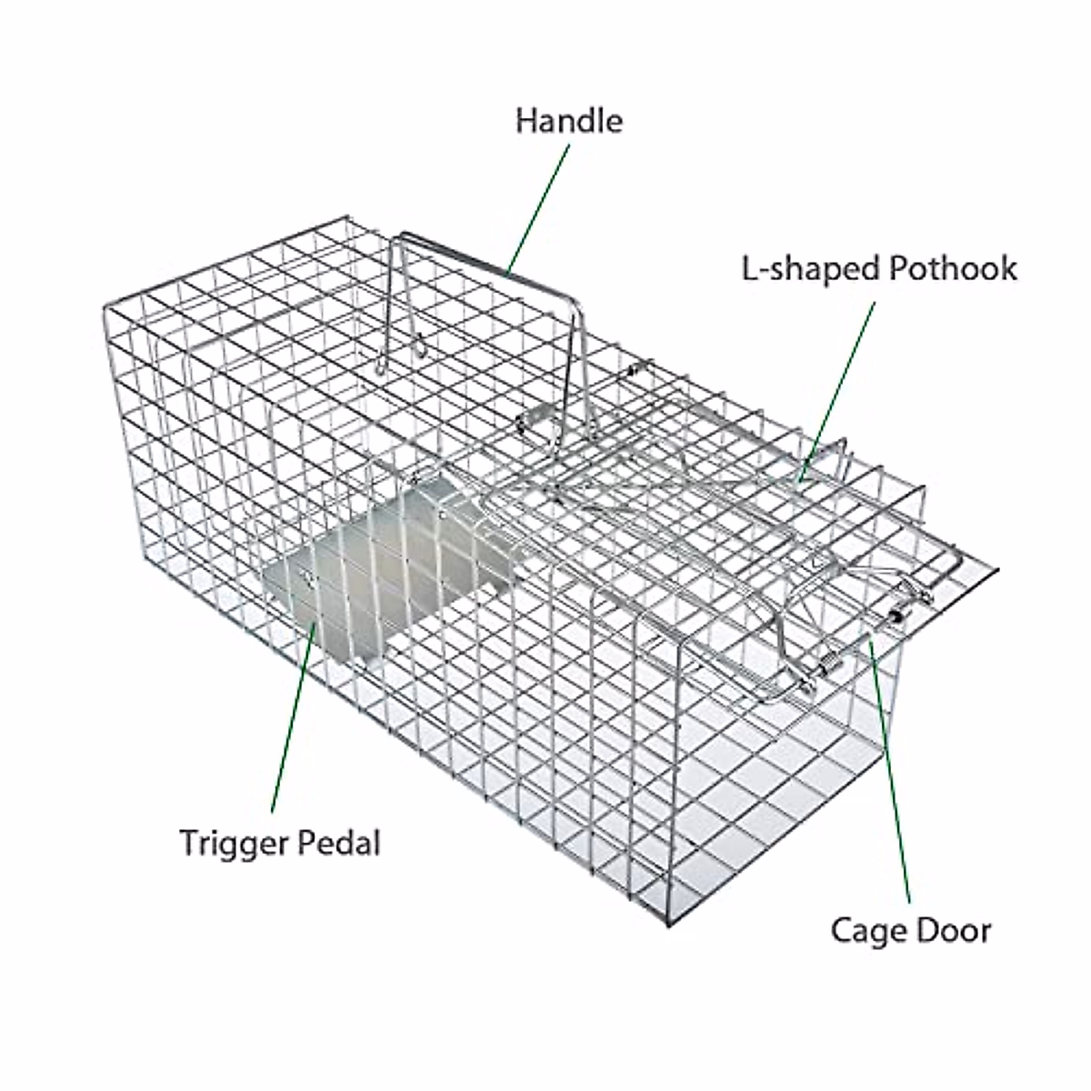 Anyhall Live Animal Cage Trap for Squirrels