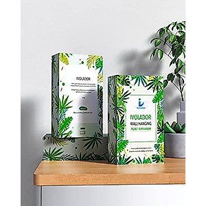 Ivolador Wall Mounted Hanging Plants Terrarium Test Tube Flower Bud Tabletop Glass Wooden Stand with 5 Test Tube Perfect for Propagating Hydroponic Plants Home Garden Wedding Decoration