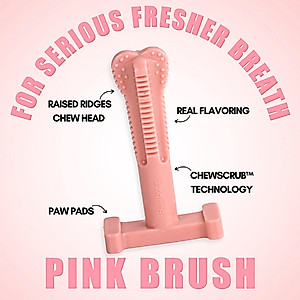 Bullibone SuperBrush: Dog Teeth Cleaning Brushing Toothbrush Stick - Long Lasting Nylon Pink Peppermint Chew Toy for Oral Care and Dental Health