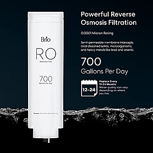 Brio Reverse Osmosis Membrane Replacement for ROSL700, ROSL700BLK, ROSL700WHT