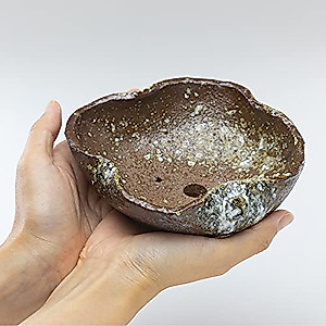 Wazakura Shigaraki Series Handmade Leaf Shaped Ceramic Bonsai Pot with Drainage Hole, 5.9 in (150 mm) Made in Japan, Garden Training Container, Flower Planter, Succulent Bowl - Red Brown