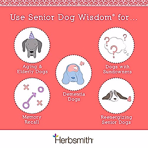 Herbsmith Senior Dog Wisdom – Dog Dementia Supplement – DHA for Senior Dog Brain Health - Senior Supplement for Dogs- 60ct Small Chews
