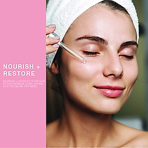 Provence Multi-Use Face, Body & Hair Oil - Hydrates Skin, Restores Shine - With Apricot, Coconut Oil & Vitamin E - 4 Fl Oz