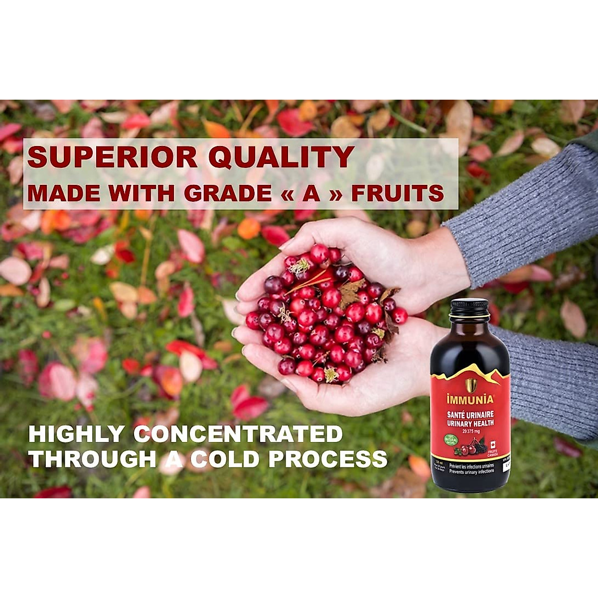 Immunia Urinary Health. Cranberry & Elderberry Concentrate to be Consumed for The Prevention of Urinary Infections. Natural. Delicious. 5 ml/Day. 1-Pack. USA