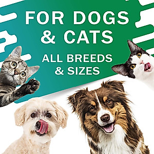 Liver Support Supplement for Dogs & Cats - Milk Thistle Liver Support - Canine Hepatic Care - Cat & Dog Liver Cleanse - Max Effect Liquid Drops