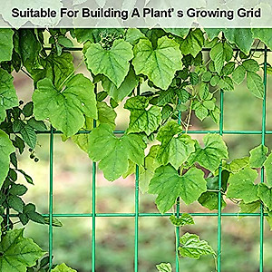 Soft Plant Ties, Garden Ties TPR Flexible Durable Heavy Duty Twist Wire for Twine Tomato Branches Vines and Tying Up Cable Wires (Green) (50 Feet / 15m) 5mm