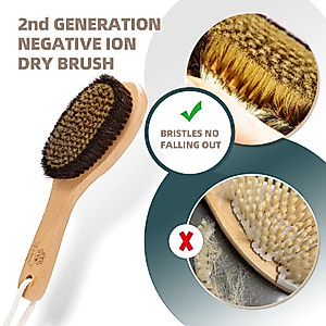ZP Natural Dry Brushing Body Brush Set, Negative Ion Exfoliating Brush, Ergonomic Grip Design, Exfoliate with Ion Dry Brush to Wake Up The Body