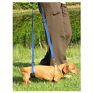 GINGERLEAD Dog Sling Hip Support Harness, X-Small Fits Little Pets Under 25 lbs and Dachshunds with IVDD, Spinal Disc Disease, or Back Injuries. Assist Elderly, Paralyzed, or Recovering Pets.