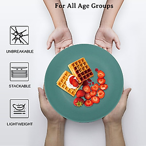 Wrova Wheat Straw Dinner Plates 10 Inch Unbreakable Set of 8 - Dishwasher & Microwave Safe Plastic Plates Reusable - Lightweight Plates for kitchen,camping,salad,appetizer - Colorful