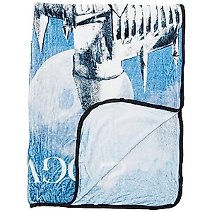 Northwest Micro Raschel Throw Blanket, 46 x 60 Inches, Blue,White