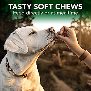 Vet's Best Seasonal Allergy Soft Chew Dog Supplements | Soothes Dogs Skin Irritation Due To Seasonal Allergies | 30 Day Supply