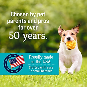 Stewart Freeze Dried Dog Treats, Healthy Gut Chicken & Vegetable, Gut Health Probiotics, Grain Free, 8 Ounce Resealable Pouch, Made in USA