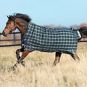 HORSEWARE Ireland Rhino Wug Lite Durable Waterproof Breathable Horse Turnout Blanket - 100g Fill - Hunter Check/Green & Navy, 75