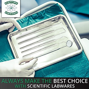 Scientific Labwares 5-Piece Stainless Steel Precision Probe, Pick and Hook Set: Dissection, Clay and Wax Modeling, Sewing, Precision Work and More!