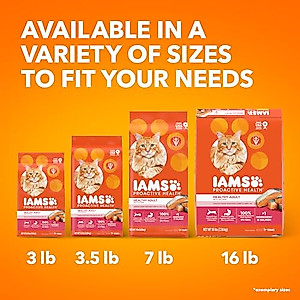 IAMS Proactive Health Adult Healthy Dry Cat Food with Salmon, 16 lb. Bag