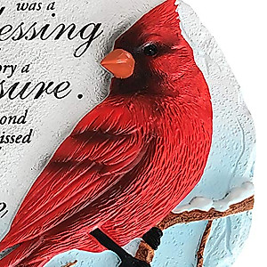 Spoontiques - Garden Décor - Cardinal Stepping Stone - Decorative Stone for Garden