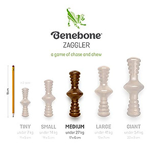 Benebone Zaggler Rolling Dog Chew Toy for Aggressive Chewers, Real Bacon, Made in USA, Medium