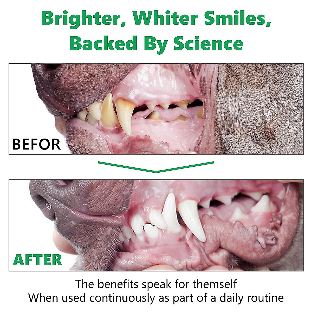 Dog Teeth Cleaning Powder,Dog Dental Powder with Probiotics Effectively Remove Tartar,Plaque,Stains,Bad Breath,Dog Teeth Cleaning Power Support Oral Care for Small,Medium,Large Dogs,4.23oz