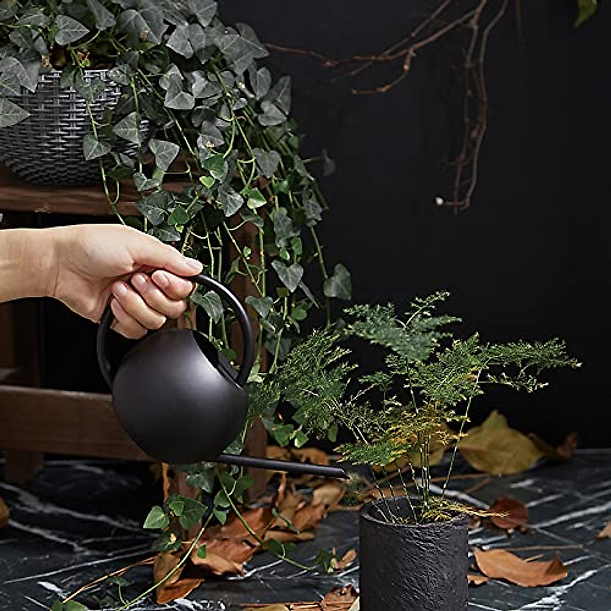 BDGWOIP Indoor Outdoor Watering Can, Stainless Steel Flower Cans Long Spout Plants Water Can Mini Device Plant Waterer for House Bonsai Garden Flower, Black, (33B15G0KNRFXX291L8GAWKSO)