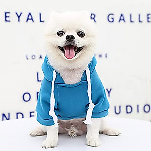 Dog Hoodie for Small Dogs Boy Pet Cats Autumn and Winter Zipper Fleece Pocket Sweatshirt Solid Color Tops Hoodies Clothes Christmas Outfit for Dogs Female