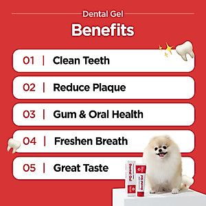 JAYU PET Dental Gel - Dog Cat Toothpaste, Removing Plaque and Tartar, Teeth Cleaning & Breath Freshener, Puppy Kitten Dental Care with Vet Approved (2.82oz. 80g)