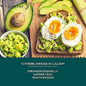 FLYGRUBS Superior to Dried Mealworms for Chickens (5lb) - 85X More Calcium Than Live mealworms - Non-GMO Chicken Feed - BSFL Treats for Hens, Ducks, Turkeys, Wild Birds, Turtles, Quails