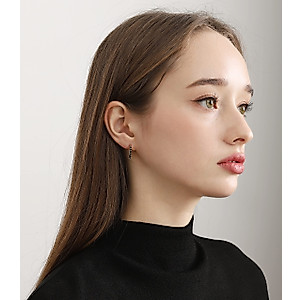 M.DUN - Hoop Earrings For Women 925 Stering Silver Post 18K Gold Plated CZ Micro Pave Dainty Round Chunky Silver Gold Multicolors Cubic Zirconia (hoop_black_S)