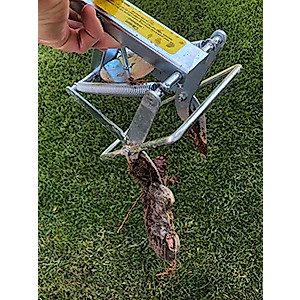 Garsum Mole Traps That Kill, EasySet Vole Gopher Trap for Lawns, Reusable Quick and Clean Kill,1 Eliminator Scissor Trap