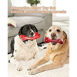 GEE BON 2 Pack Indestructible Dog Toys for Aggressive Chewers - Tough Dog Chew Toys for Aggressive Chewers Large Breed, Nylon Durable Dog Chew Bones with Bacon & Beef Flavor for Medium and Large Dogs
