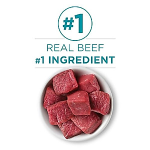 Purina ONE Natural, High Protein, Grain Free Wet Cat Food Pate, Beef Recipe - (Pack of 24) 3 oz. Pull-Top Cans