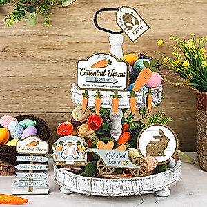 Easter Tiered Tray Decor Spring Table Wooden Sign Decorations Easter Tabletop Farmhouse Signs Carrot Egg Bunny Decor for Easter Party Home Kitchen Holiday (Carrot, 12 Pcs)