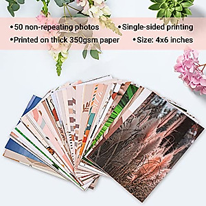 HappyStream 50pcs Wall Collage Kit Aesthetic Pictures. Photo Collage Kit, Bedroom Decor for Teen Girls, Boho Wall Décor, Dorm Photo Collection, Aesthetic Posters for Room (50pcs 4x6 inch)
