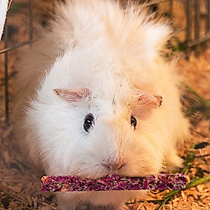 MEWTOGO 30Pcs Natural Timothy Hay Sticks, 3 Different Flowers Timothy Molar Rod, Hay Chewing Stick Chew Treats for Rabbits Chinchilla Hamsters Guinea Pigs Gerbils Groundhog Squirrels