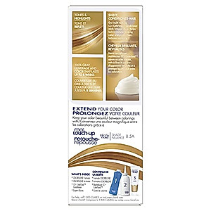 Clairol Nice'n Easy Liquid Permanent Hair Dye, 8A Medium Ash Blonde Hair Color, Pack of 3