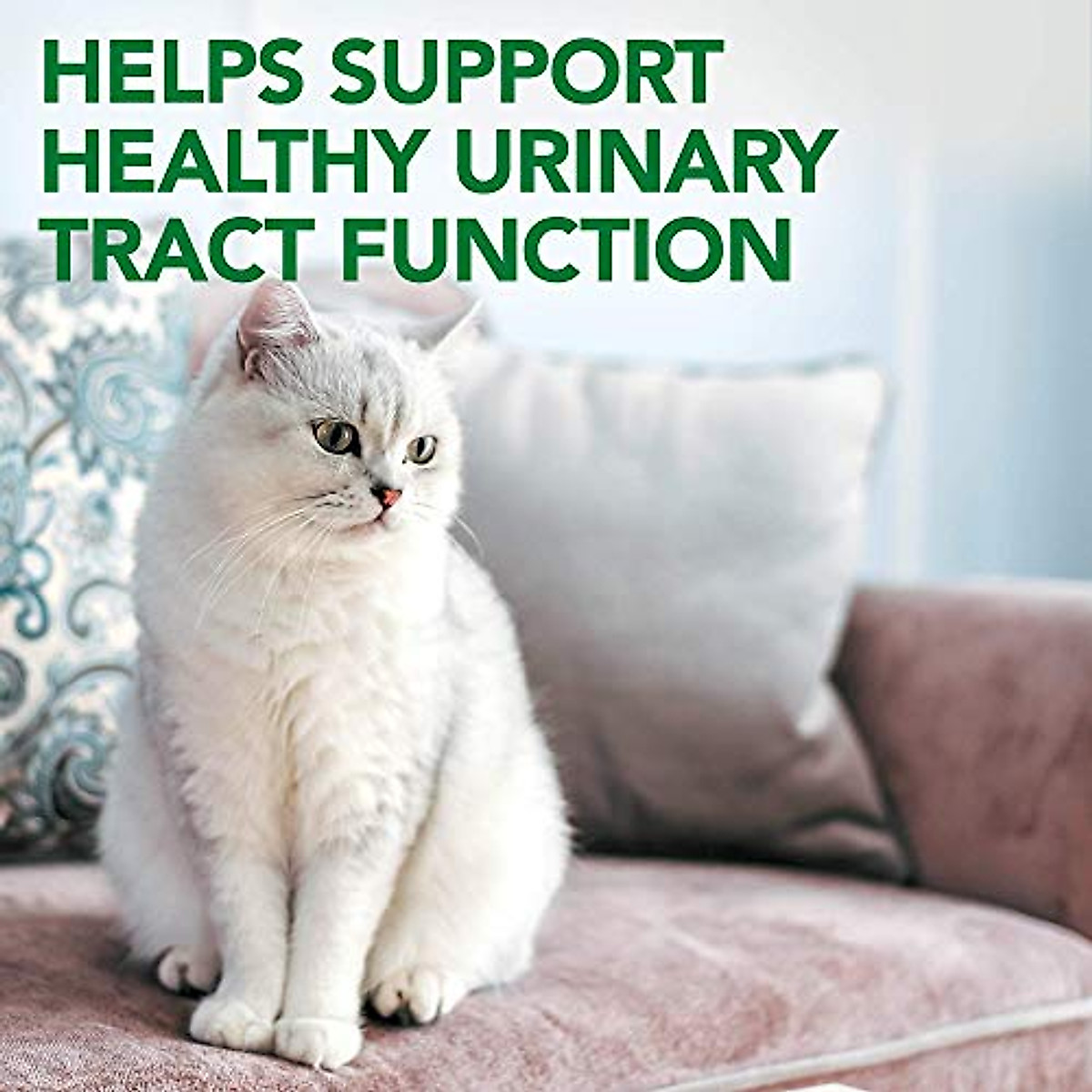Vet's Best Cat Urinary Tract Support Chewables | Supports A Healthy Urinary Tract in Cats | 60 Chewable Tablets