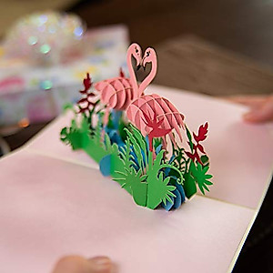 Flamingo Pop Up Birthday Card by DEVINE Popup Cards | Happy Wedding Anniversary Card for Husband Wife Boyfriend Girlfriend | Romantic Valentines 3D Cards for Her Him | Mothers Day Gifts Mom Love Bird