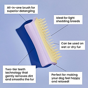 Pet Teezer by Tangle Teezer Detangling Dog Grooming Brush, Dry Brush & Dog Bath Brush for Wet or Dry Fur & Light Shedding Breeds, Small, Lilac/Yellow