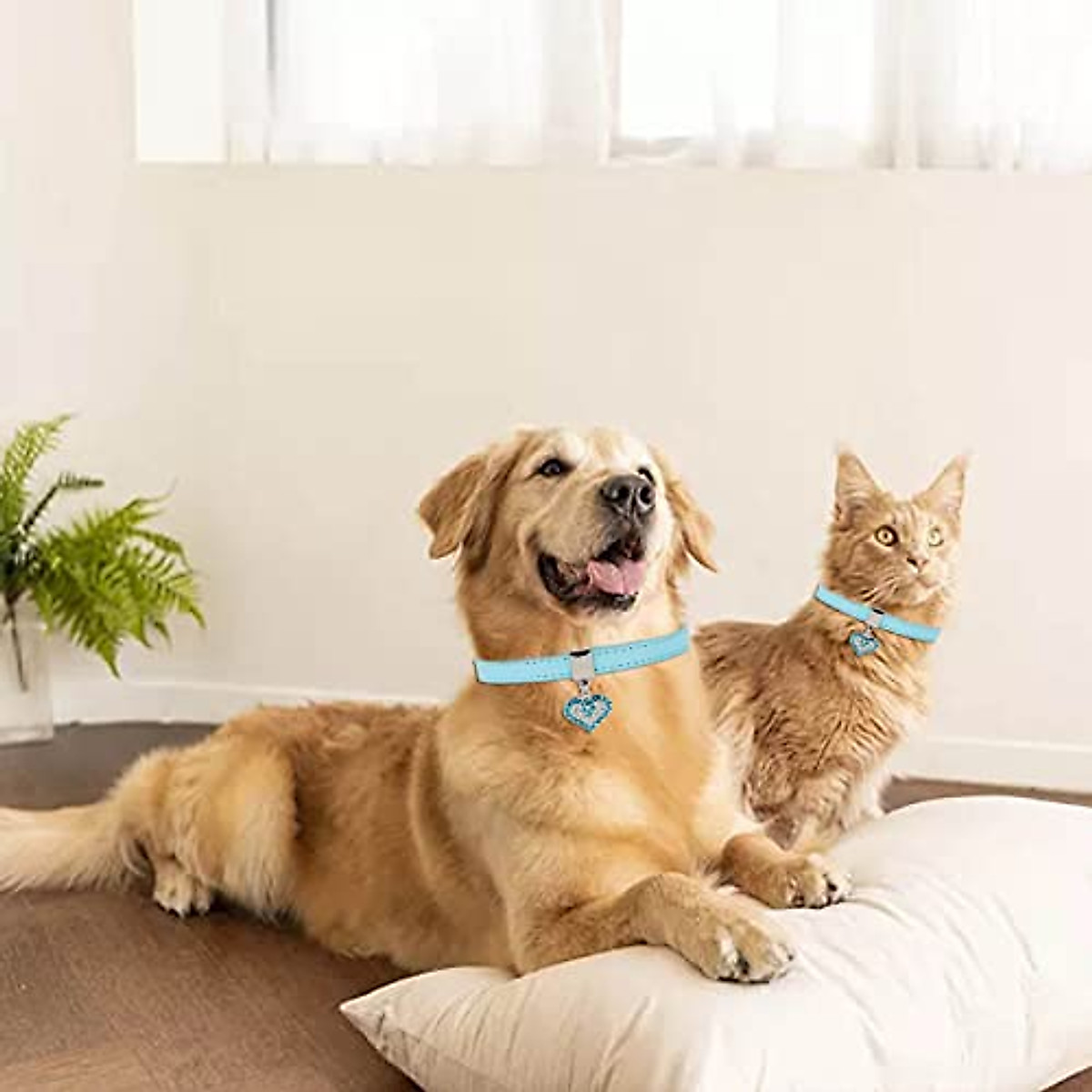 Girl Cat Collar with Bell Pet Buckle Dog Chain Cute Pet Peach Heart Dog Collar Diamond Bling Girl Small Puppy Rhinestone Cute Bowtie Pet Collar Rope