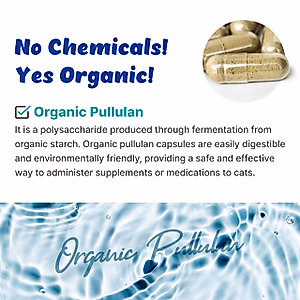 Branvine Organic Pullulan Empty Capsules for Cats - Hides Medicine Taste & Scent | Naturally Fermented, Highly Digestible | Capacity Up to 350mg (120 Counts)