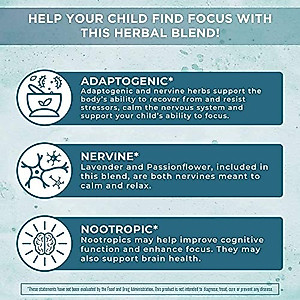 Kids Vegan Multivitamin Gummies & Focus Supplement for Kids Bundle by MaryRuth's | Immune Support for Kids, Natural Brain Support | May Help Improve Focus & Manage Stress