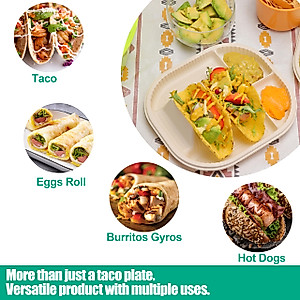 Viotiin 50 Pieces Mini Disposable Taco Plates, Biodegradable Taco Plates with 2 Dividers, Fiesta Taco Holder Plates for Soft/Hard Shell Tacos, Great for Taco Tuesday, Taco Party, Microwave Safe