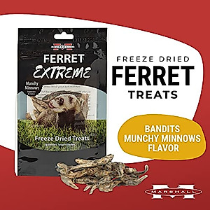 Marshall Pet Products Natural Grain and Gluten Free, High-Protein Extreme Freeze Dried Single Ingredient Treats, Munchy Minnows, for Ferrets, .3 oz