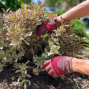 Wells Lamont Women's Breathable ComfortHyde Leather Hybrid Work Gardening Gloves, Small (7872S), Red